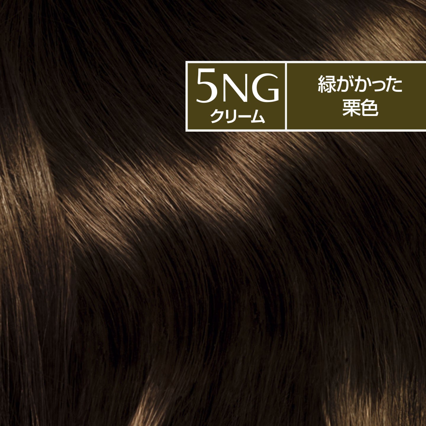 エクセランス R クリームタイプ 5ng 緑がかった栗色 白髪染め ロレアル パリ LorÉal Paris