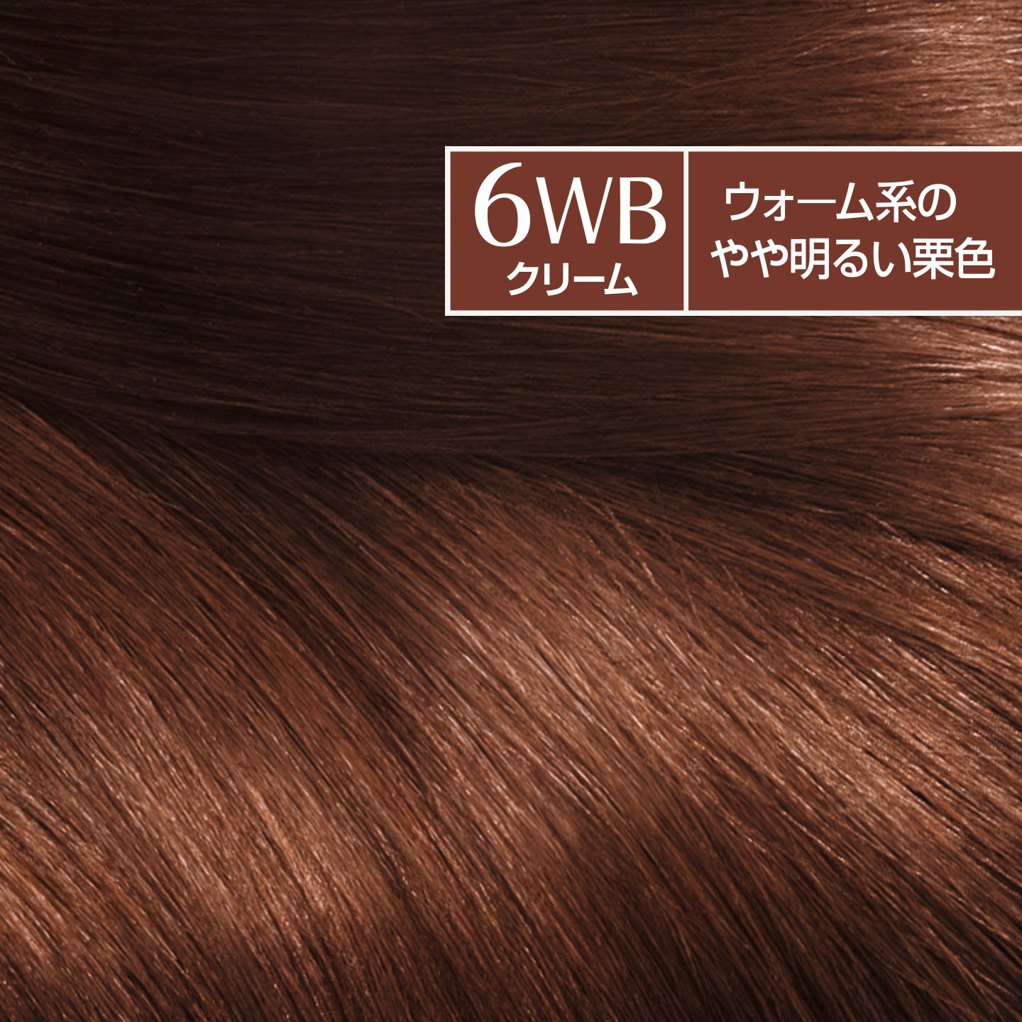 エクセランス R クリームタイプ 6wb ウォ―ム系のやや明るい栗色 白髪染め ロレアル パリ LorÉal Paris