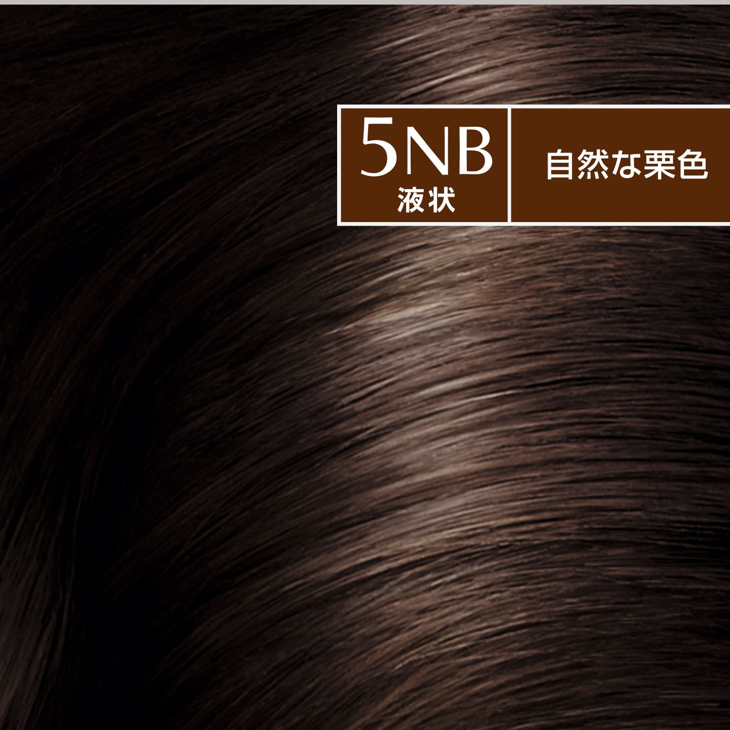 エクセランス R 液状タイプ 5NB 自然な栗色 | 白髪染め | ロレアル パリ L'ORÉAL PARIS